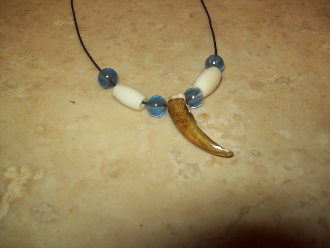Snapping Turtle Claw Necklace Native American Made - Etsy