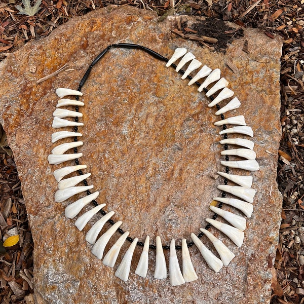 Native American Buffalo Tooth Necklace - Etsy