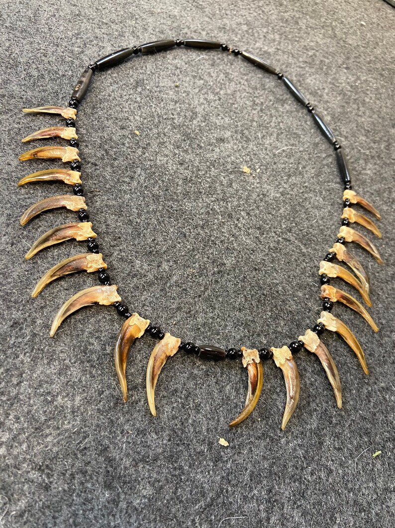 Native American Made Badger Claw Necklace 20 Claws - Etsy