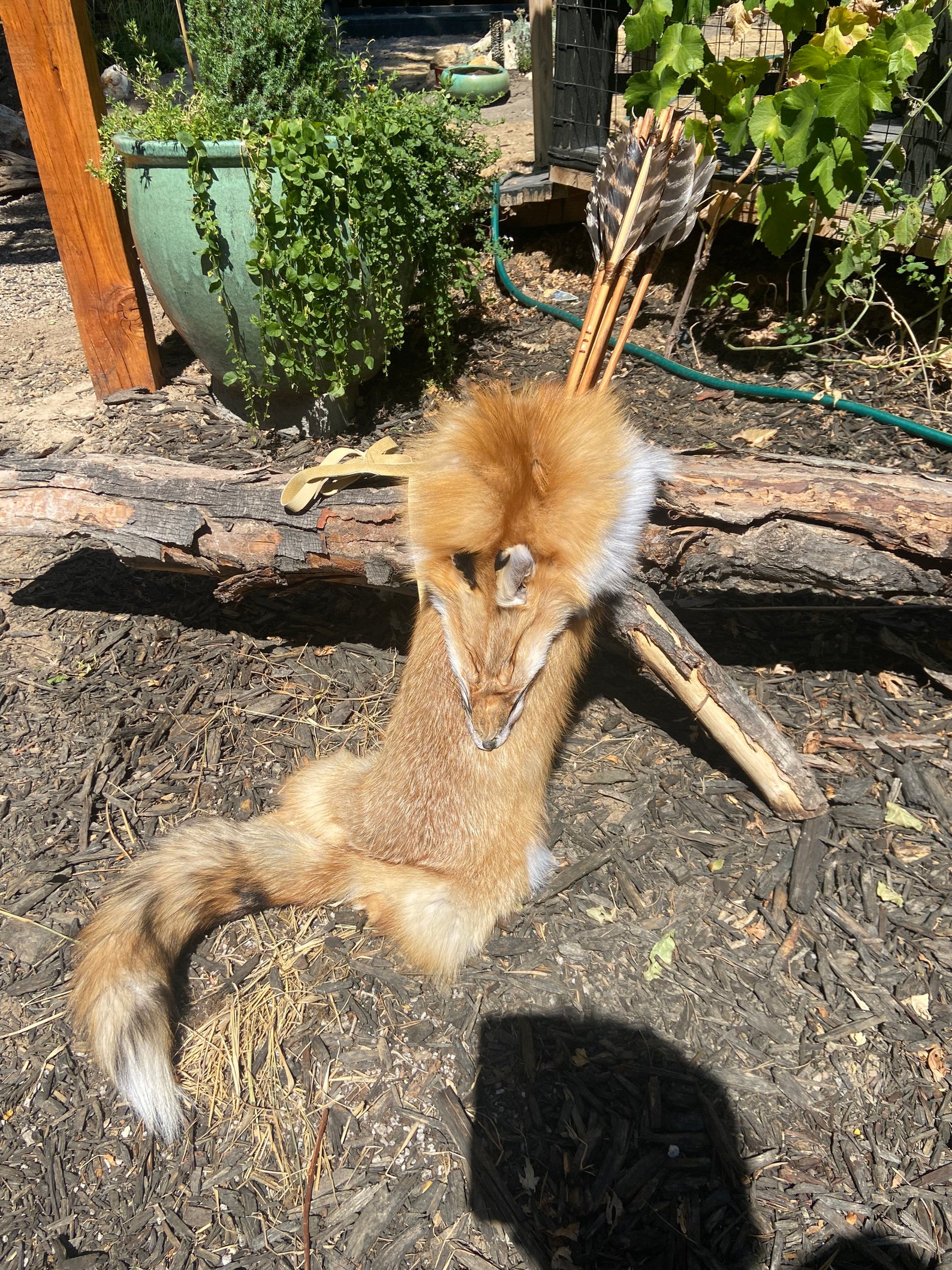 Fox Quiver With Rawhide Insert Authentic Native Made - Etsy