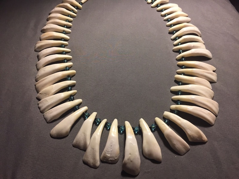 Buffalo Tooth Necklace Native American Made - Etsy