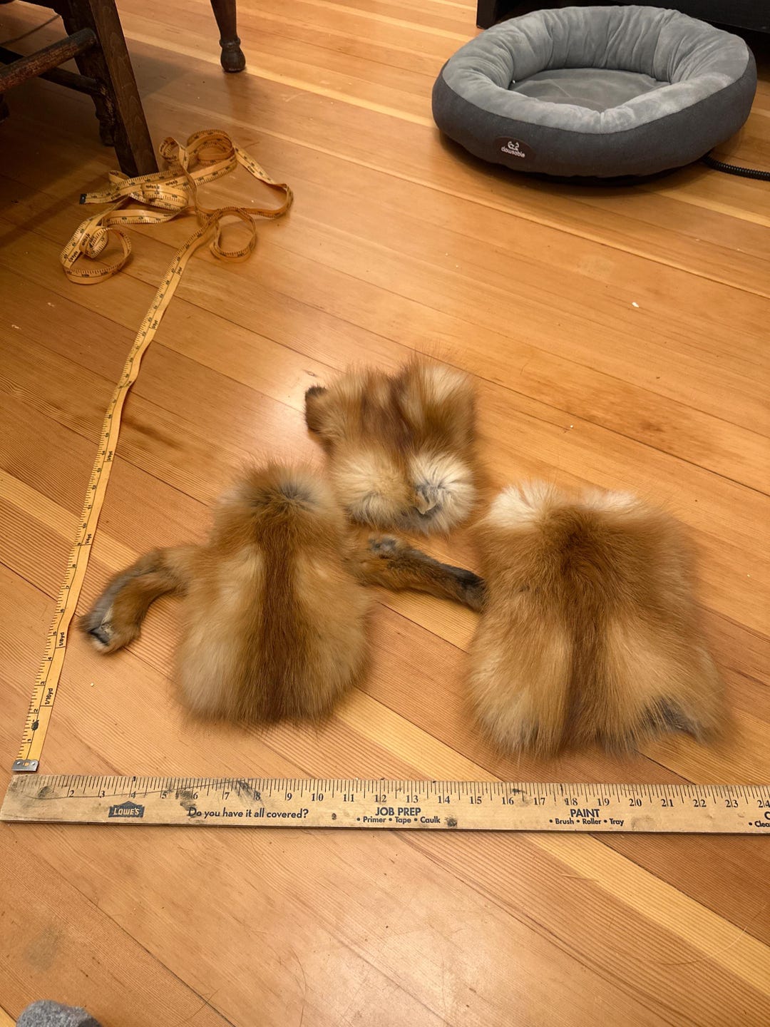 Red Fox Scrap Fur Hide Pieces Total 3 Items One Lot F5 - Etsy