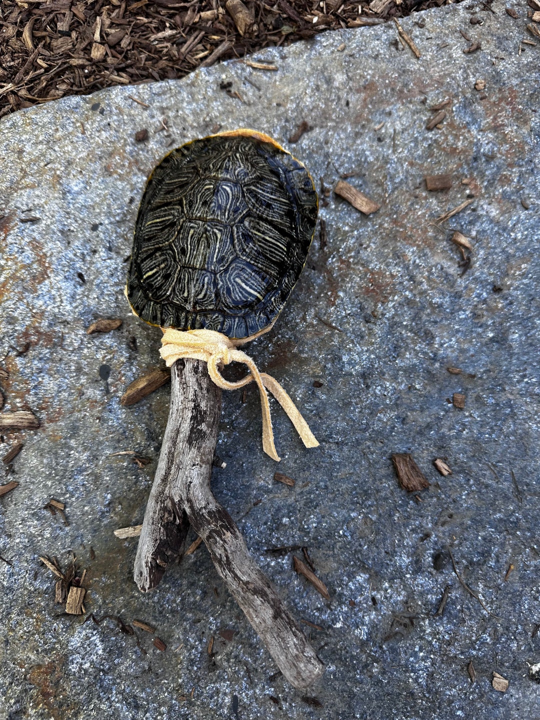 Native American Turtle Rattle - Etsy