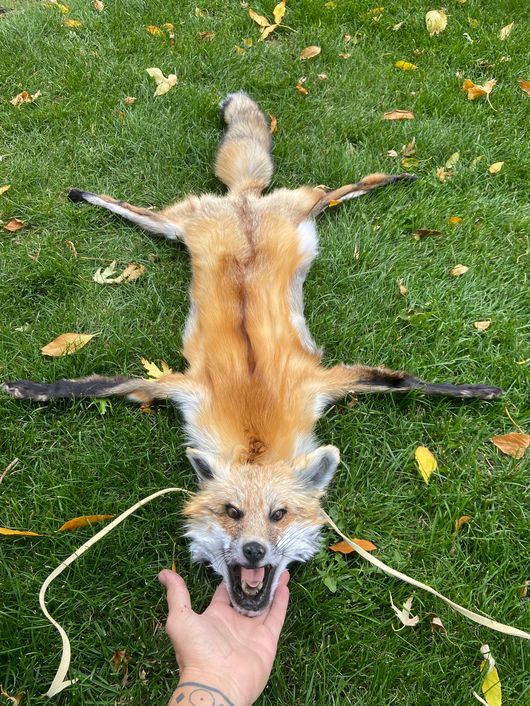Red Fox Headdress Native American Made - Etsy
