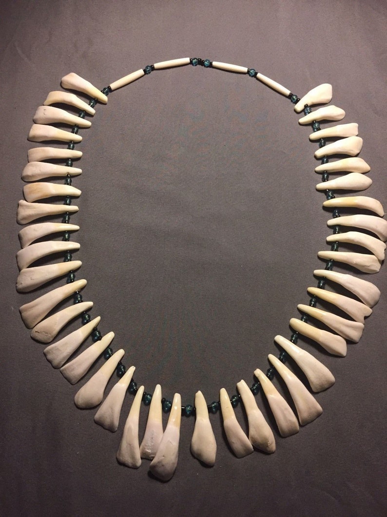 Buffalo Tooth Necklace Native American Made - Etsy