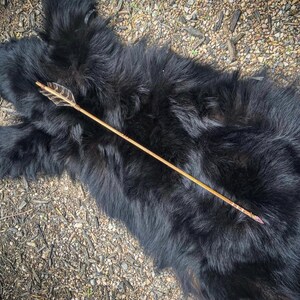 Native American Made Arrow W/ Certificate of Authenticity Primitive ...