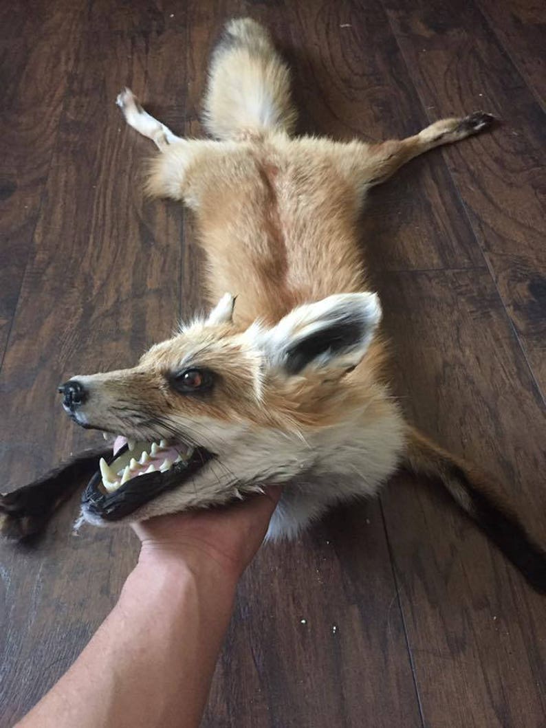 Red Fox Headdress Native American Made - Etsy