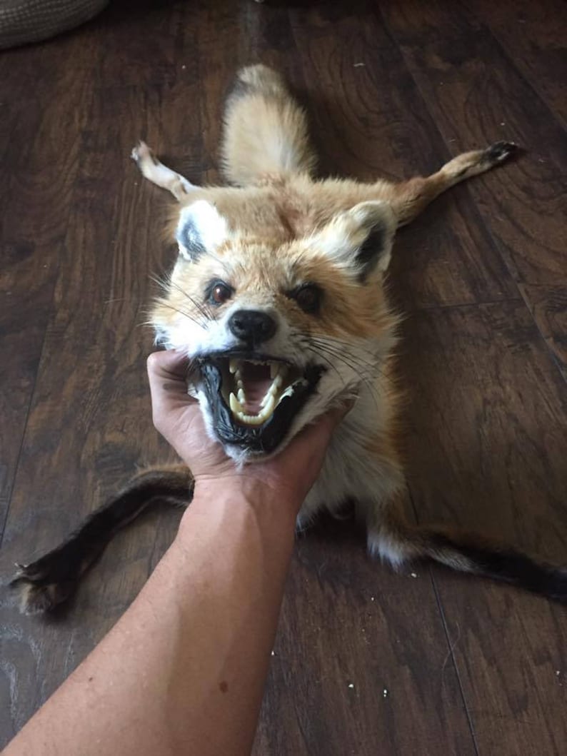 Red Fox Headdress Native American made | Etsy