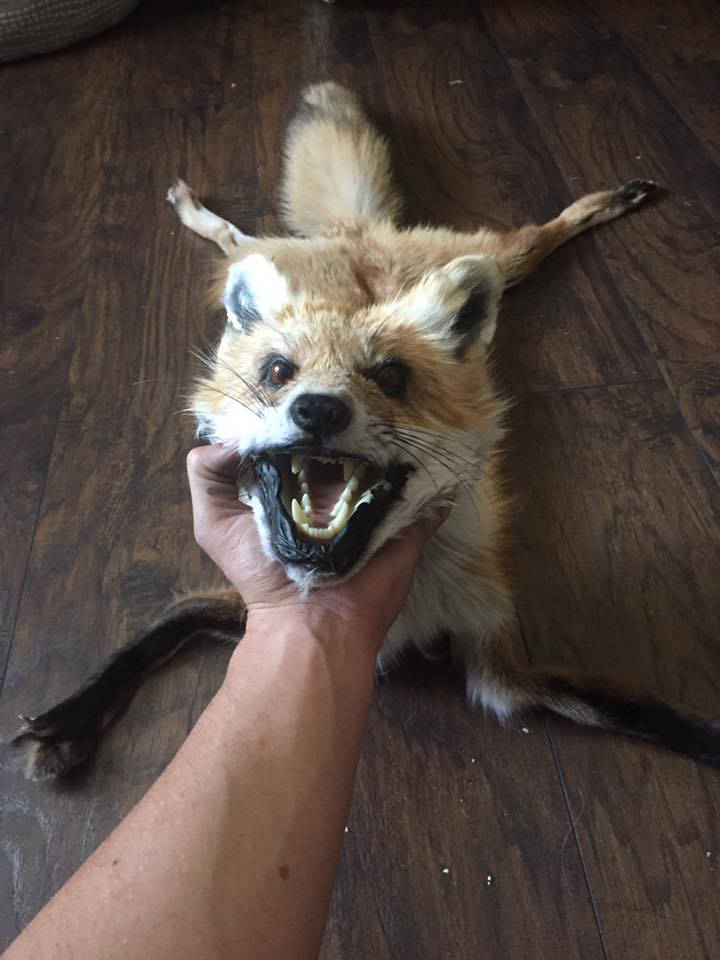 Red Fox Headdress Native American made | Etsy