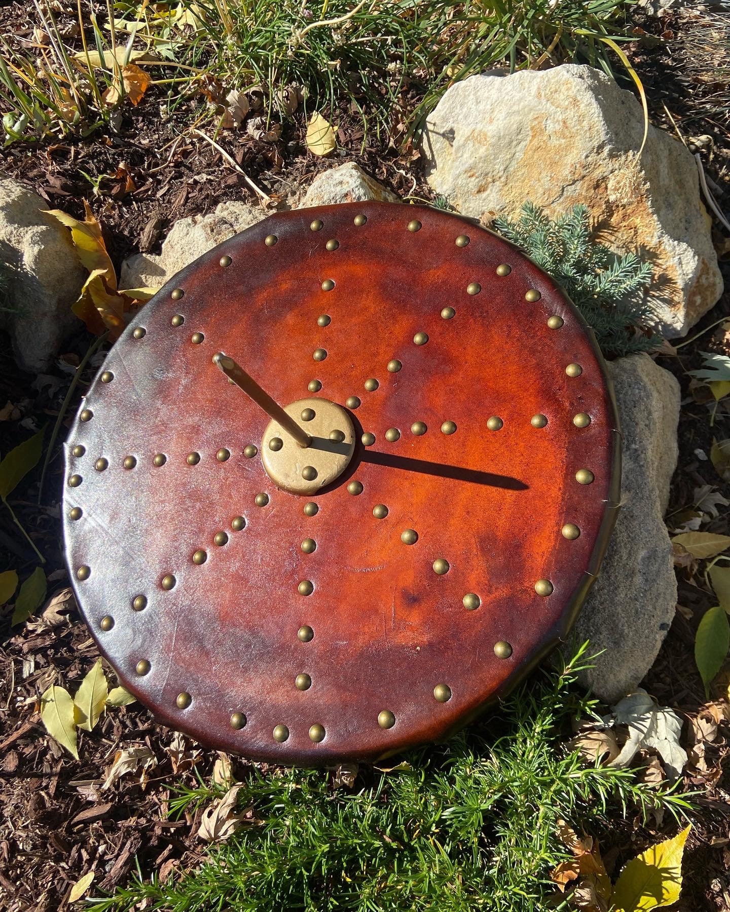 Medieval Scottish Shields