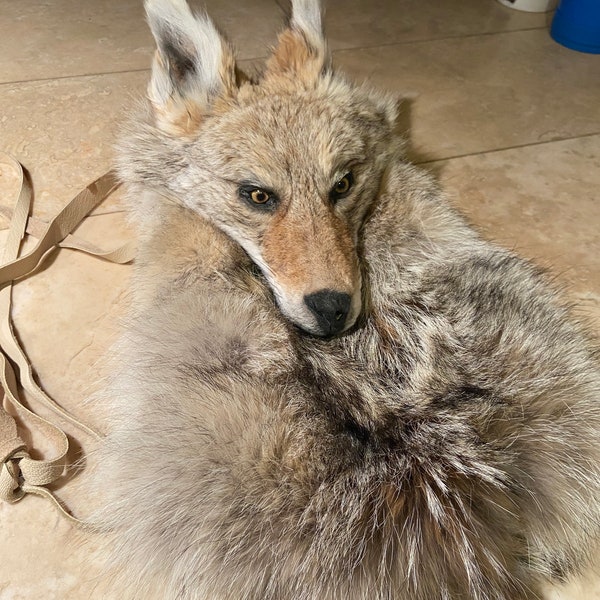 Coyote Mask - Etsy
