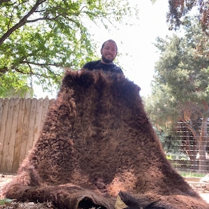 Painted Buffalo Robe Native American Made Traditional Earth Pigment ...