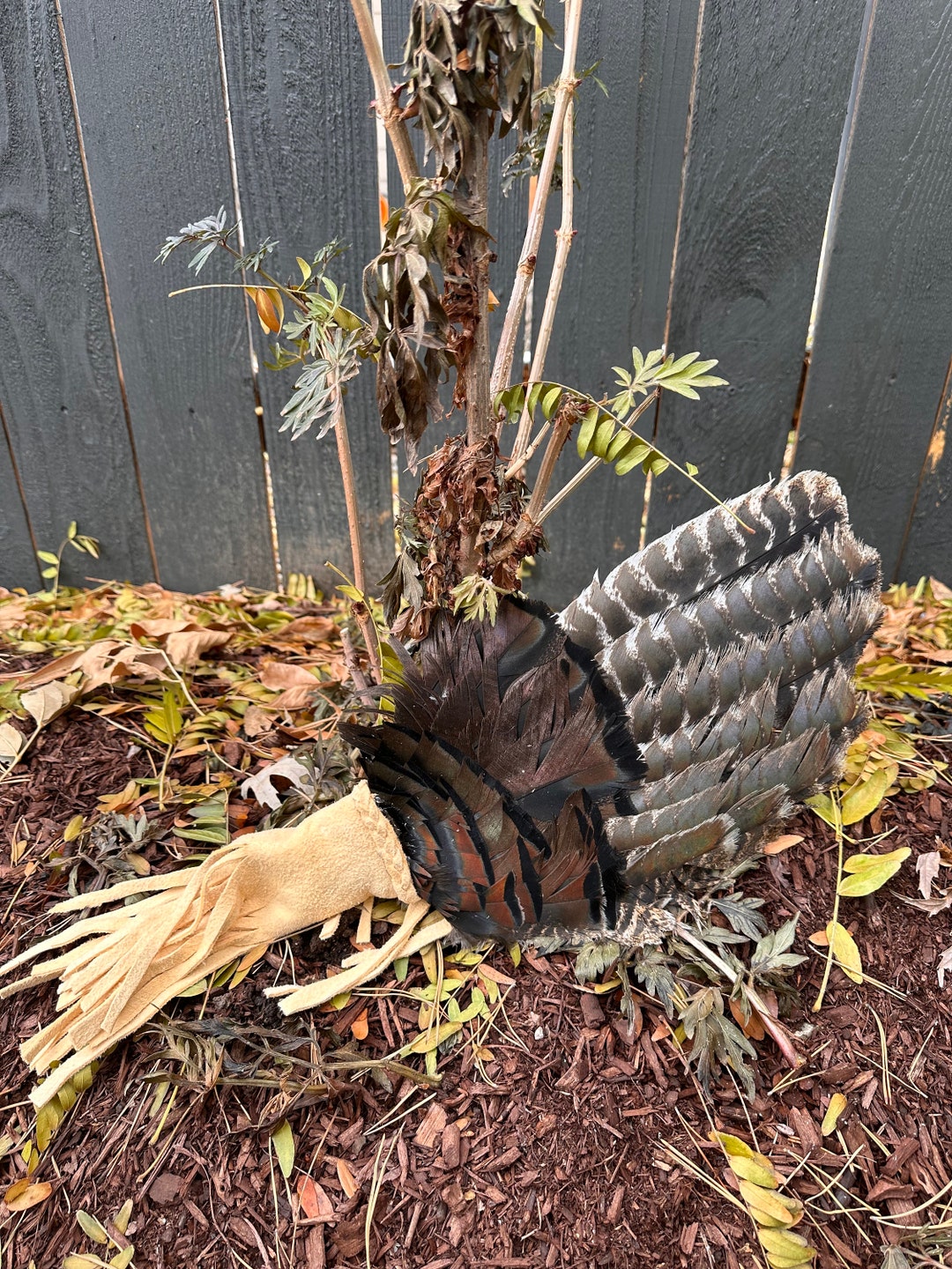 Dance Fan Native American Made Turkey Feathers Wrapped in Buckskin - Etsy