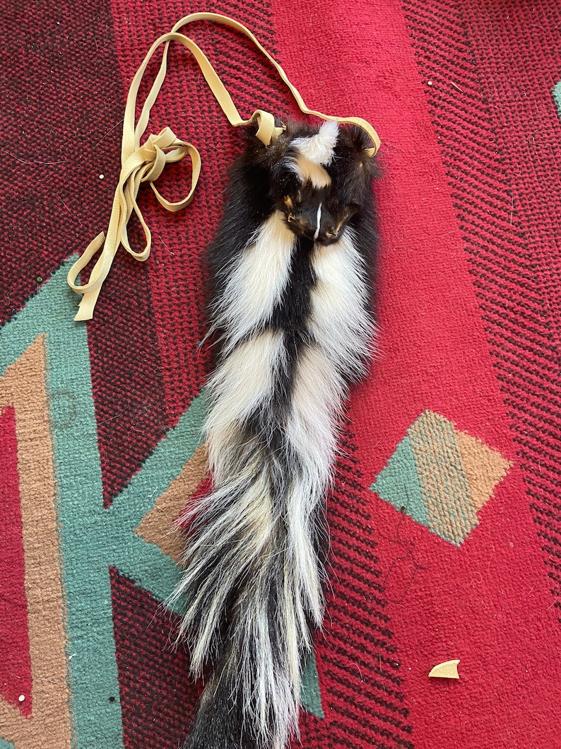 Skunk Fur Bag Native American Pipe Bag Possibles Mountain Man Regalia ...