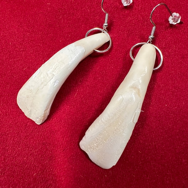 Bison Earrings - Etsy