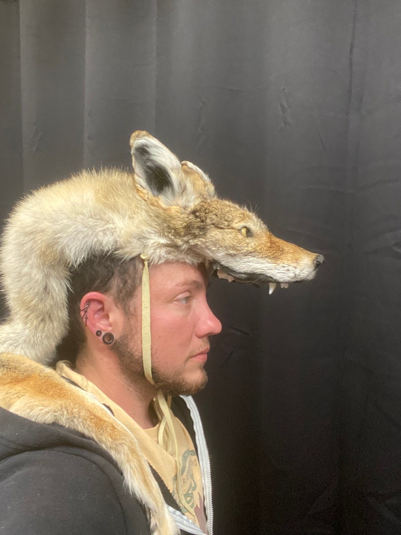 Mounted Head Coyote Skin Headdress W Feet Native American Made - Etsy