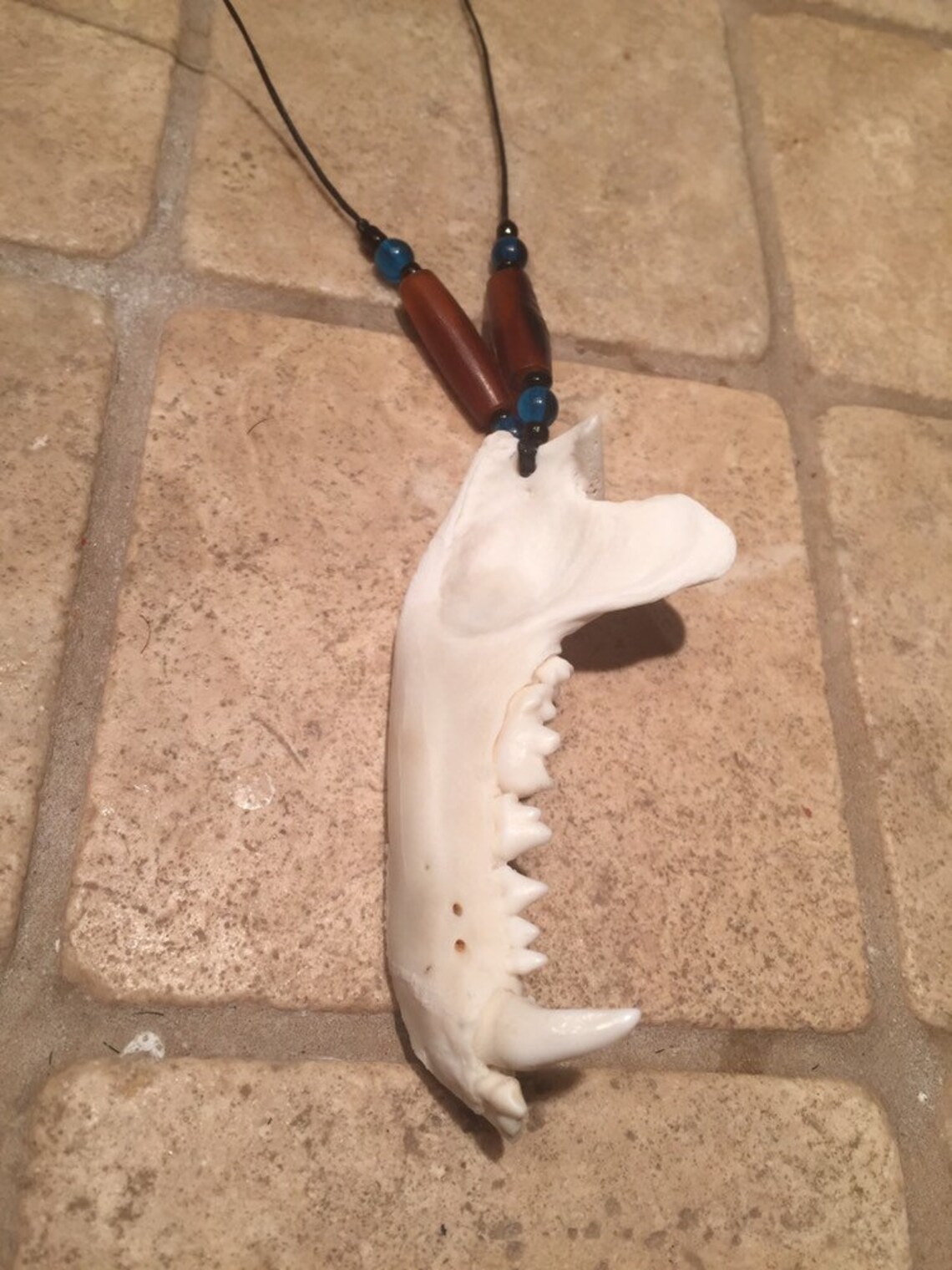 Badger Jaw Neckalce Real Jaw Native American Made Celtic Pagan - Etsy