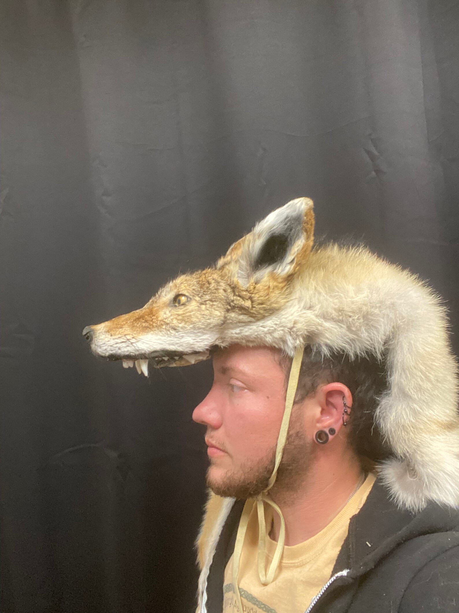 Mounted Head Coyote Skin Headdress W Feet Native American Made - Etsy