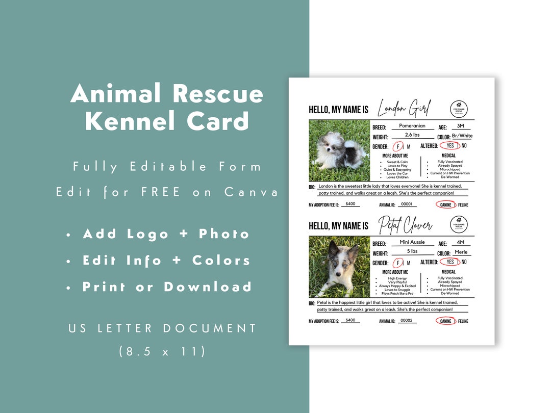 Editable Animal Shelter Kennel Card Cage Card Rescue Printable Kennel ...