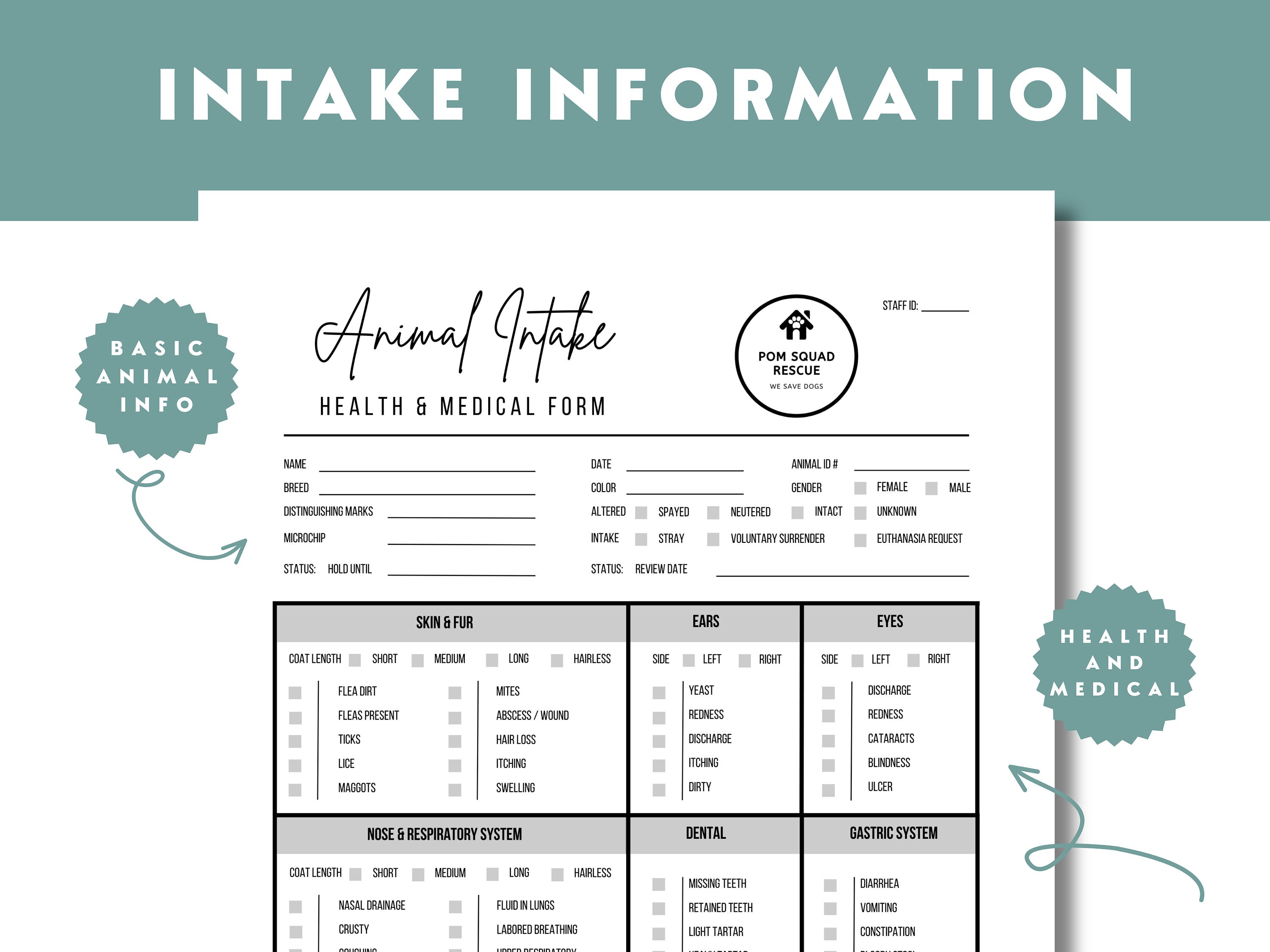 Animal Shelter Intake Protocol at Hector Dwight blog