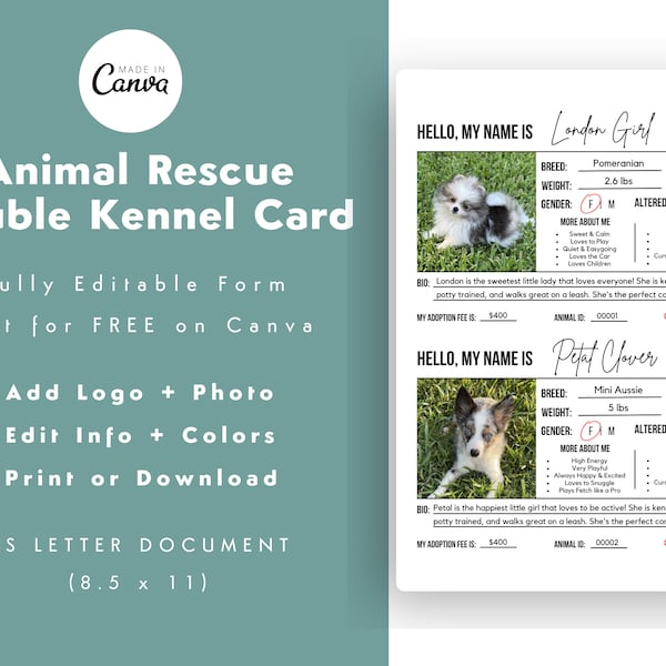 Animal Shelter Cage Card - Etsy