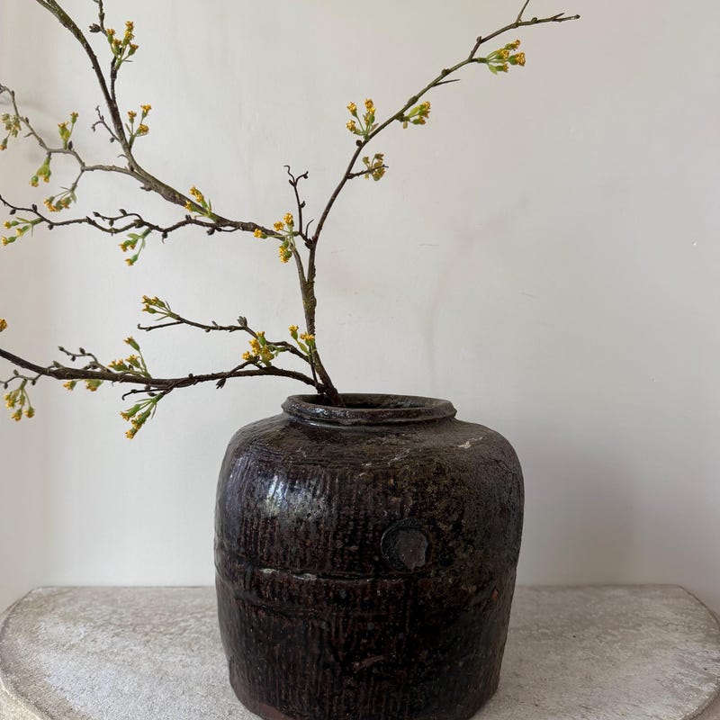 Bean Pot Vases - Etsy