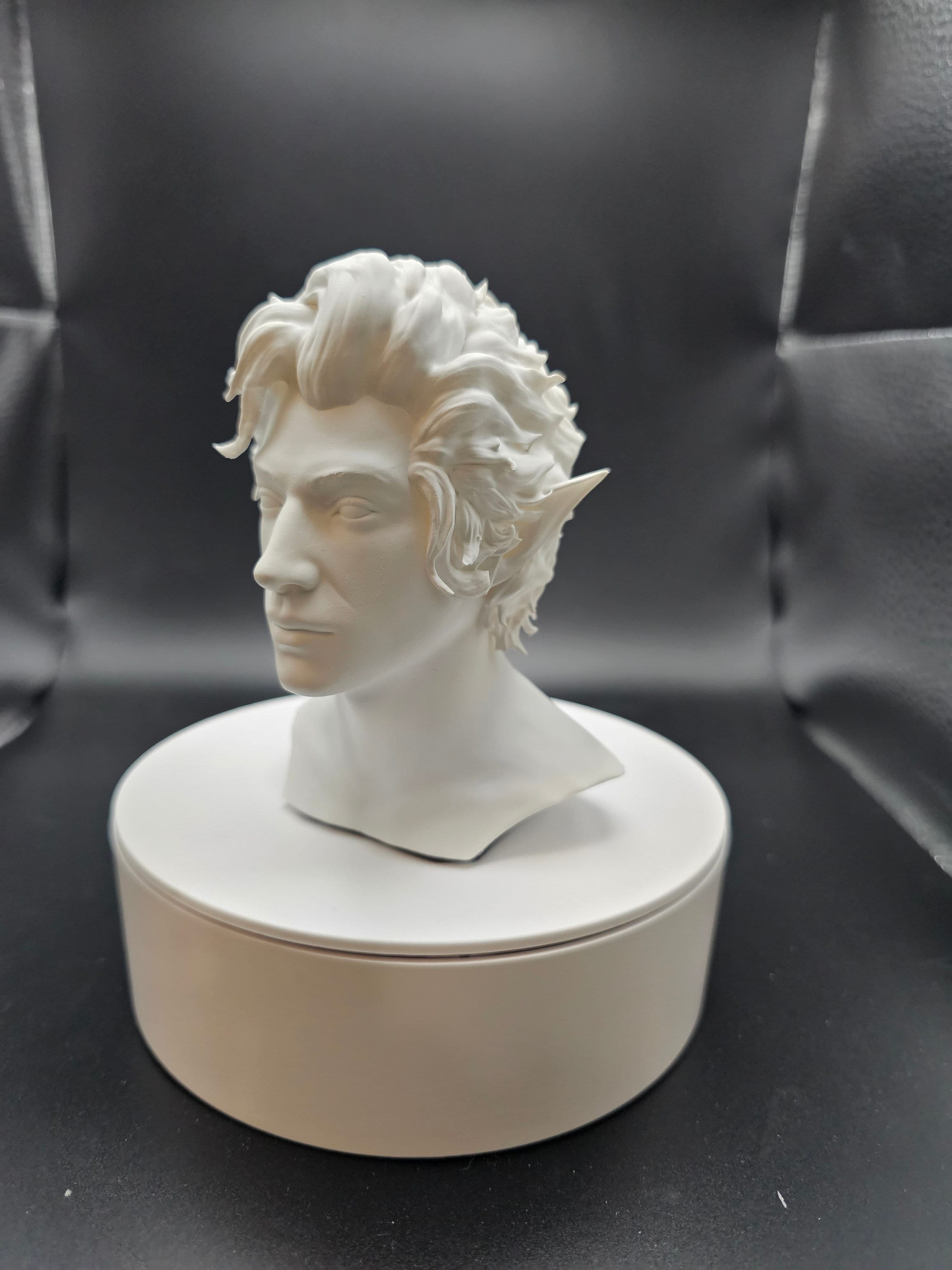 Baldur's Gate 3 Astarion Bust STL 3D Model - Etsy