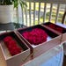 Preserved Roses in Luxury Box, Flower Bouquet, Real Roses Lasting 3 ...