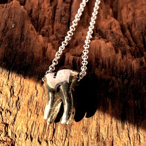 Silver Wisdom Tooth Necklace .925 Sterling Chain Cast of a Real Tooth ...