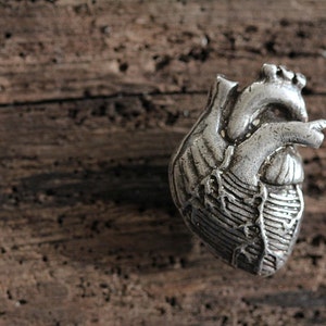 Anatomical Heart Cabinet Hardware, Antique Silver made in NYC - Etsy