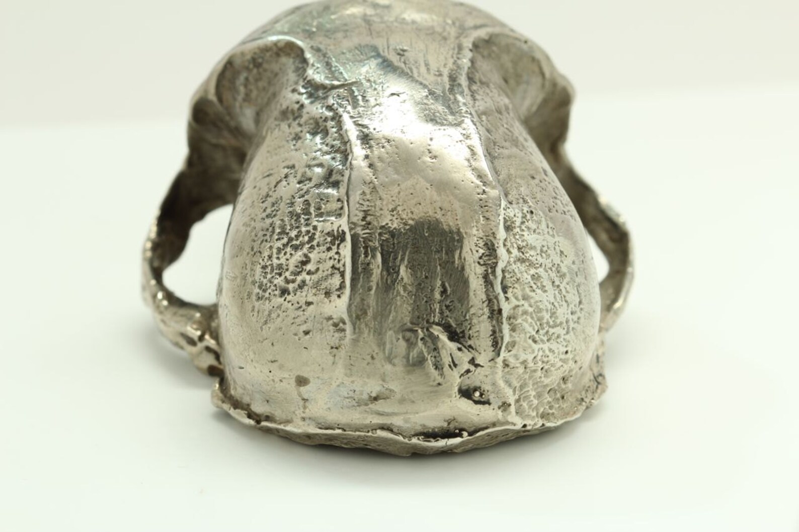 Monkey Skull Rhesus Macaque Life-cast Purified Recycled - Etsy