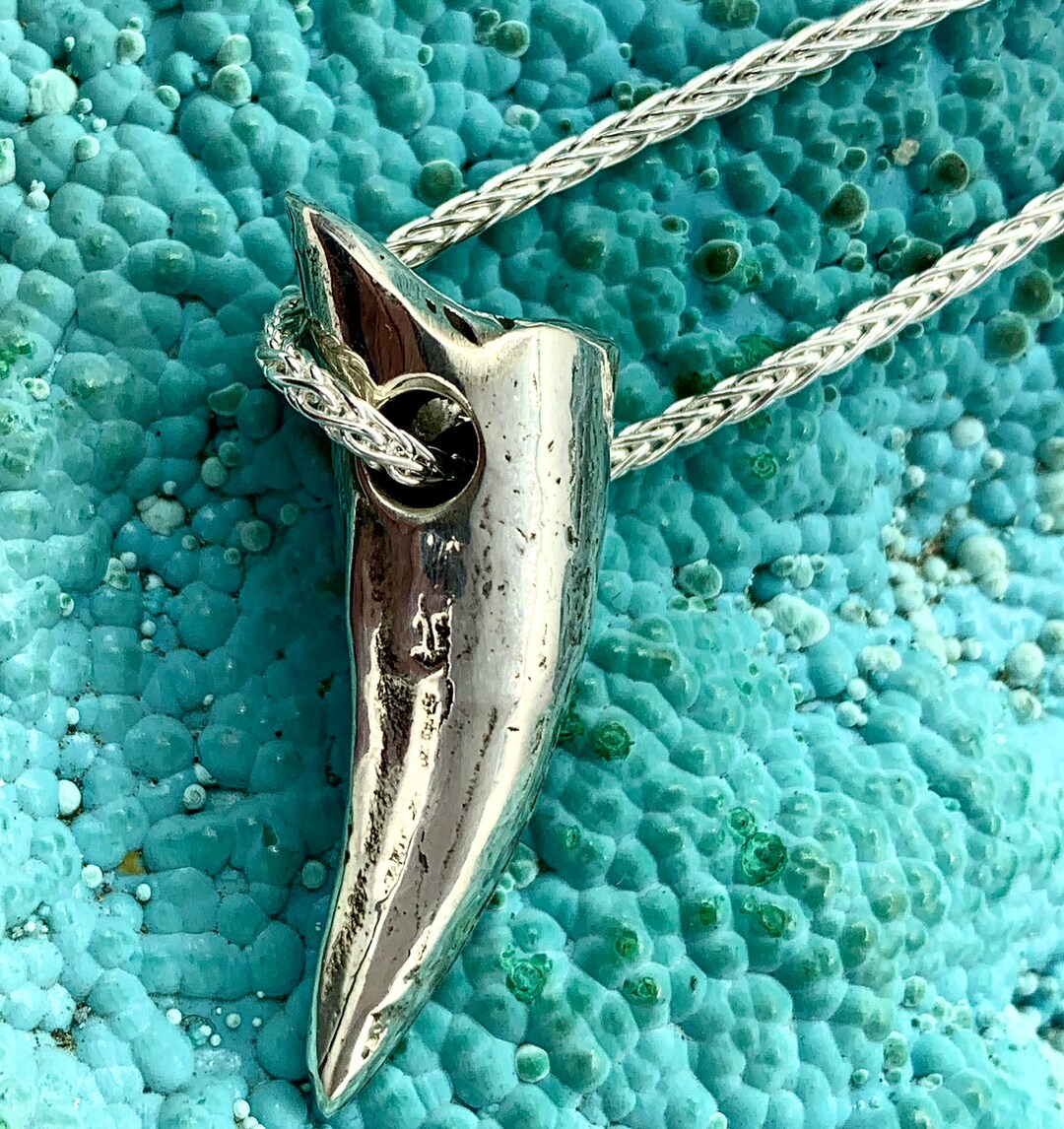 Crocodile Tooth Alligator Tooth Necklace in Sterling Silver Wildlife ...