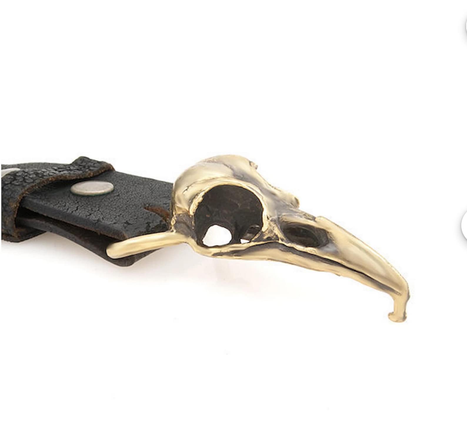 Crow Skull Belt Buckle Life Sized in Solid Bronze Made in NYC - Etsy