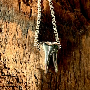 Silver Wisdom Tooth Necklace .925 Sterling Chain Cast of a Real Tooth ...
