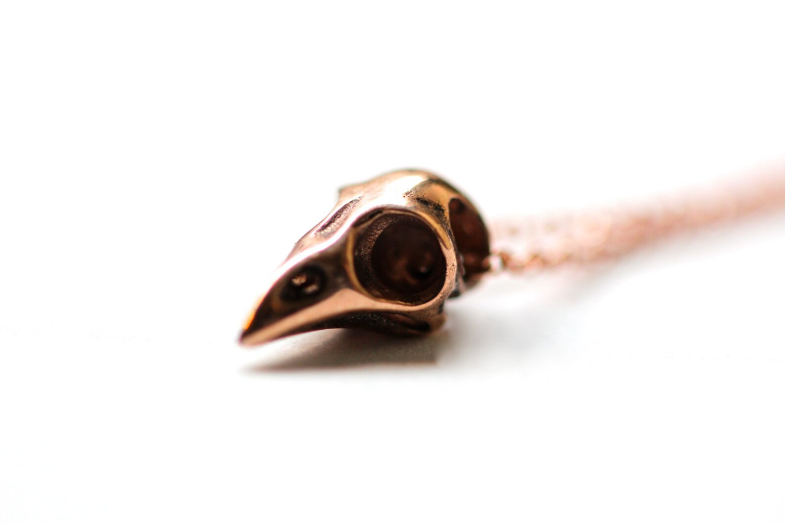 Tiny Bird Skull Necklace Gold Bird Skull Jewelry in Solid - Etsy