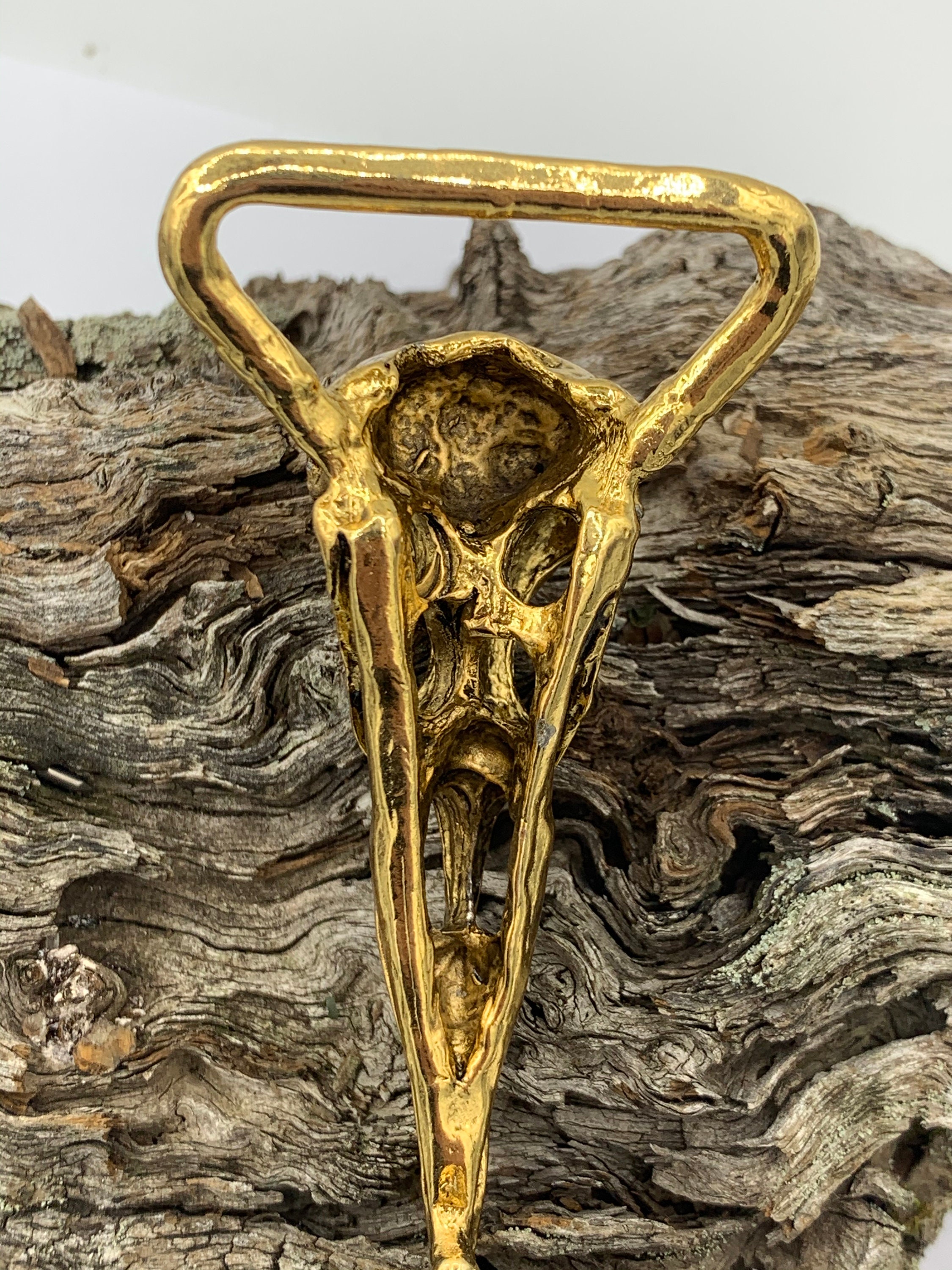 Crow Skull Belt Buckle Life Sized in Solid Pewter Gold Plated Made in ...