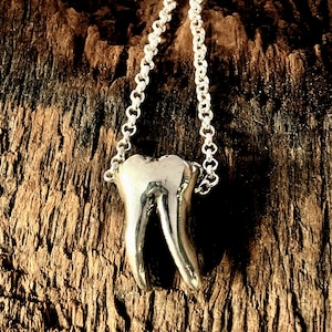 Silver Wisdom Tooth Necklace .925 Sterling Chain Cast of a Real Tooth ...