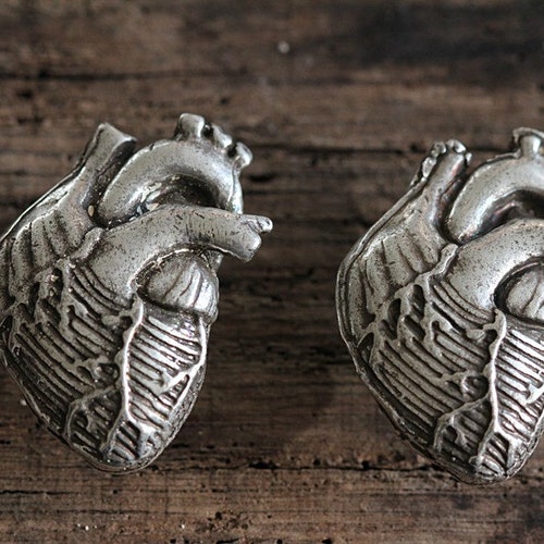 Anatomical Heart Cabinet Hardware Antique Silver made in - Etsy