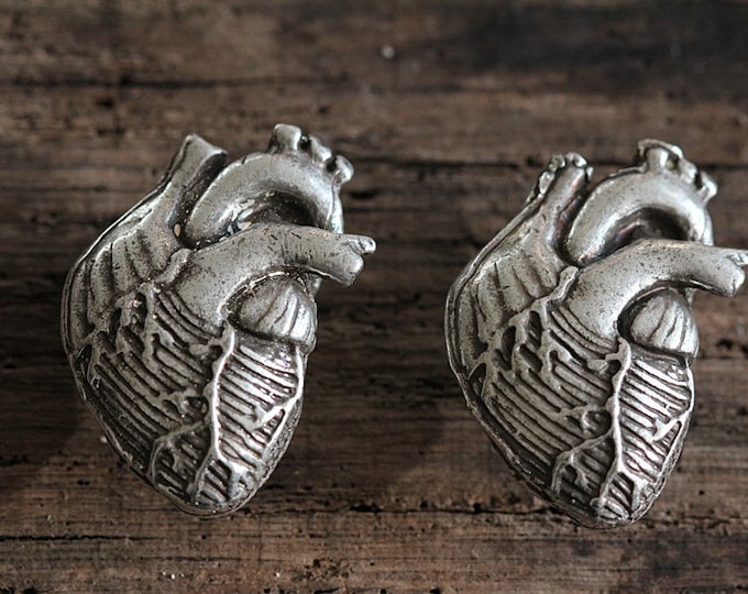 Anatomical Heart Cabinet Hardware, Antique Silver (made in NYC) - Etsy