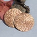 Radiating Texture Disc 28mm 24G Enameling Textured Blank Shape ...