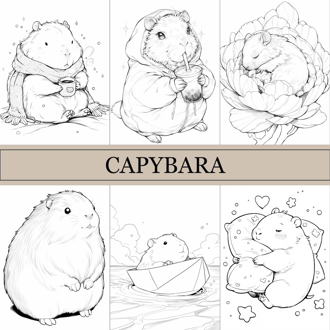 Capybara Coloring Book, Cute Coloring Pages, Cozy Book for Adults and ...