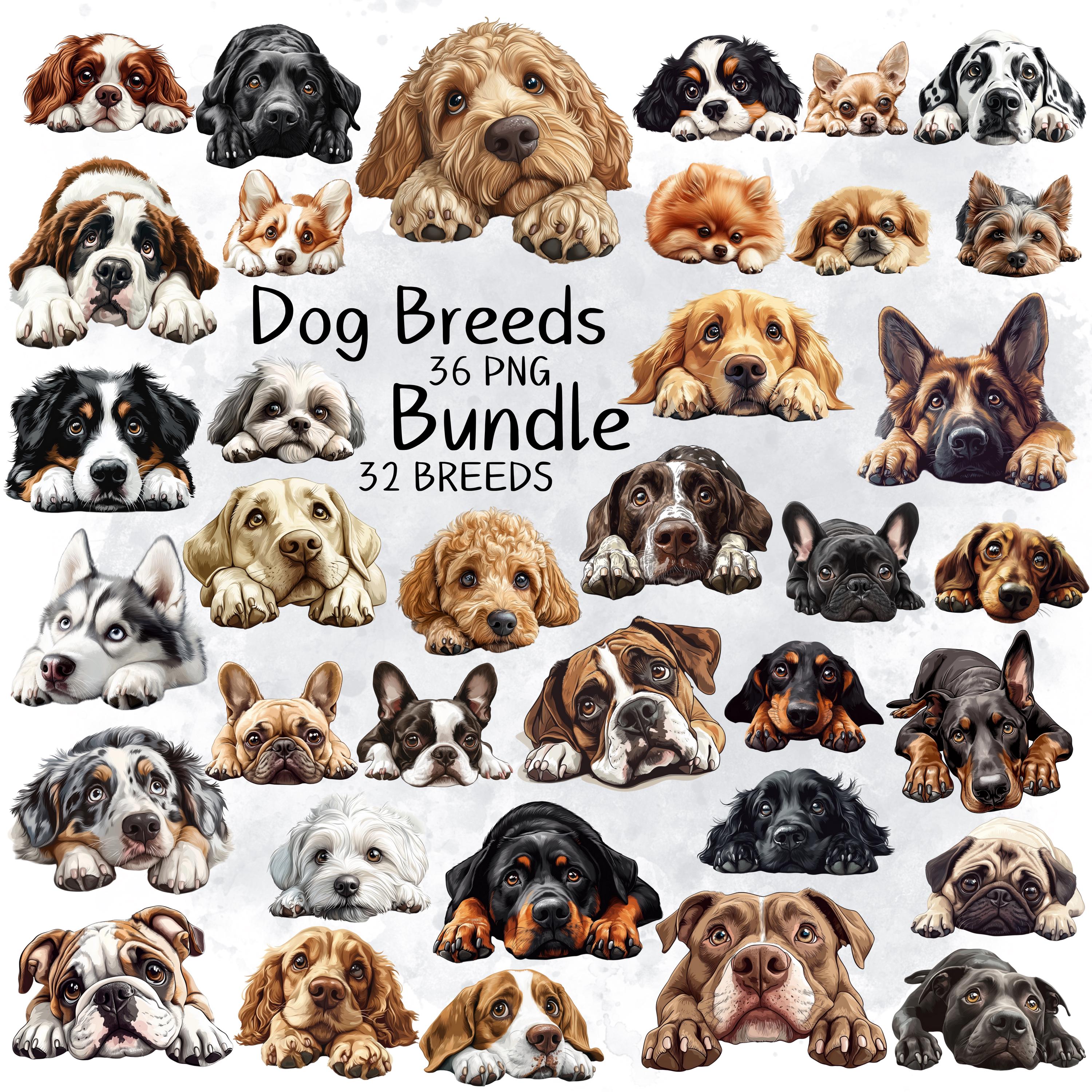 Watercolor Dog Breeds Clipart, 32 Dog Breeds Clipart Bundle, Dog ...