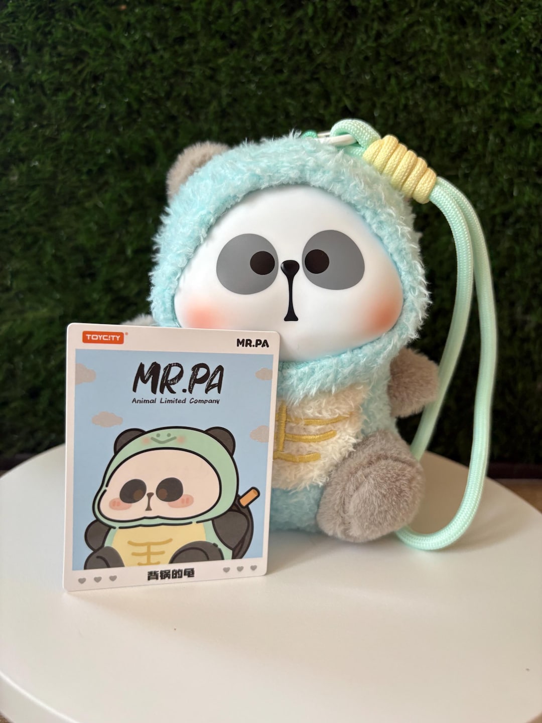MR. PA Animal Co. | Plushies | Blind Boxes - Etsy Australia