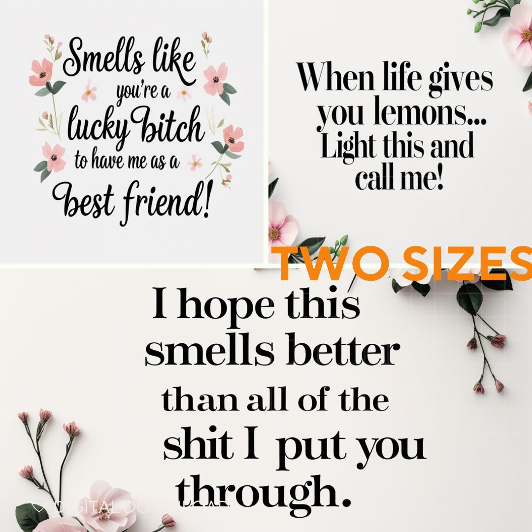 18 Funny Friend Candle Label Bundle, Sarcastic Friendship Candle Labels ...