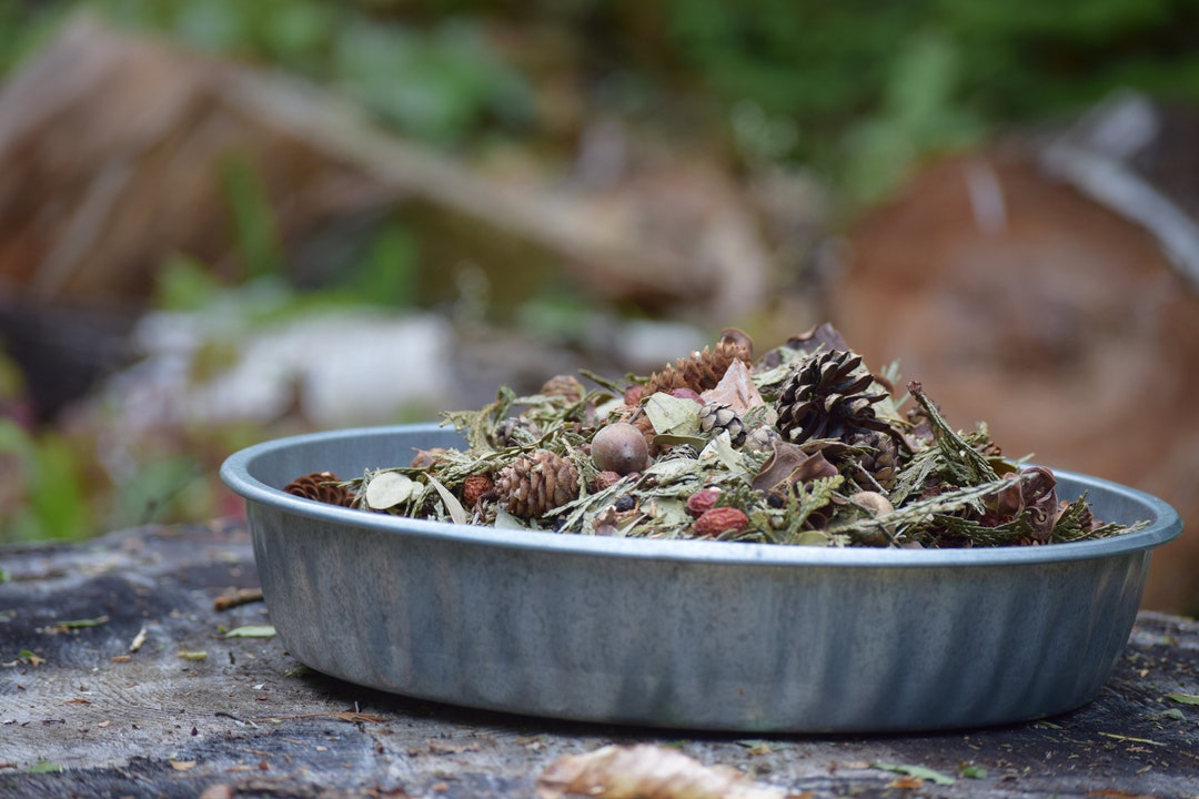 Balsam Potpourri | Natural Rustic Woodsy Potpourri | Made in Maine ...