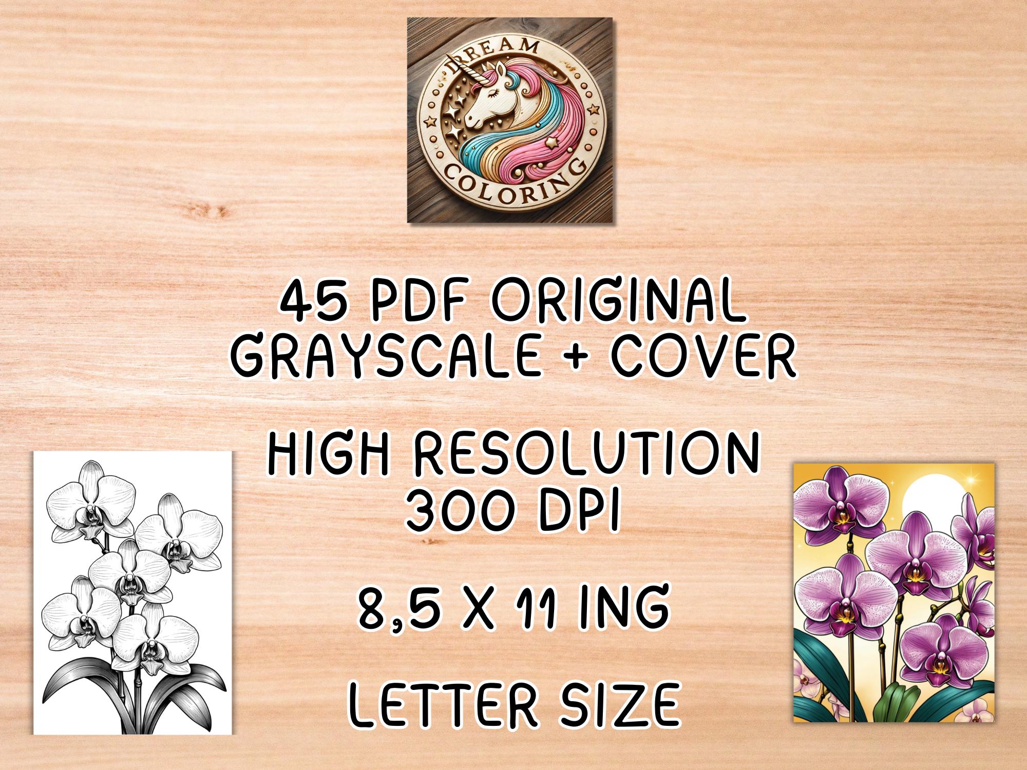 Orchid Coloring Book: 45 Botanical Grayscale Pages (printable PDF) - Etsy