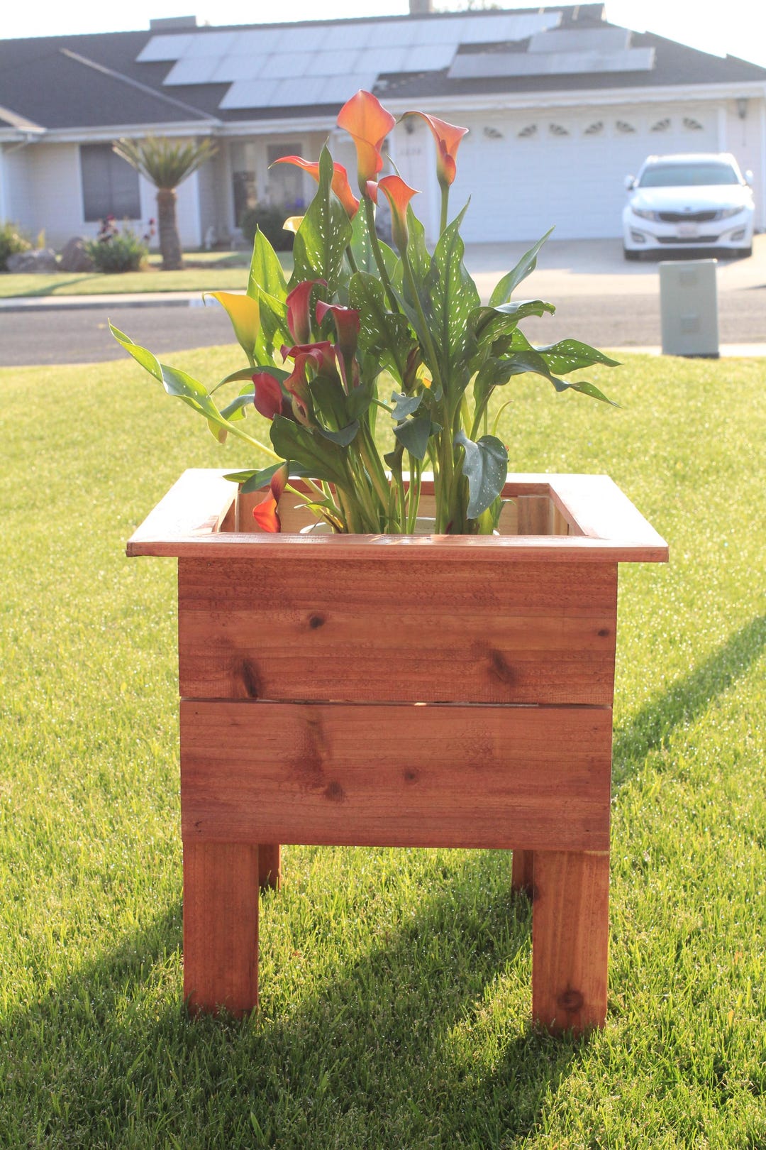 Cedar Planter Box DIY Plans: Build 16x16x19 - Etsy
