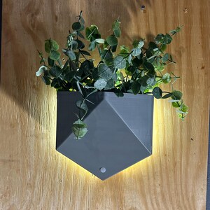 Wall Planter Light, With Built-in LED, Indoor Hanging Plant Pot, Modern ...