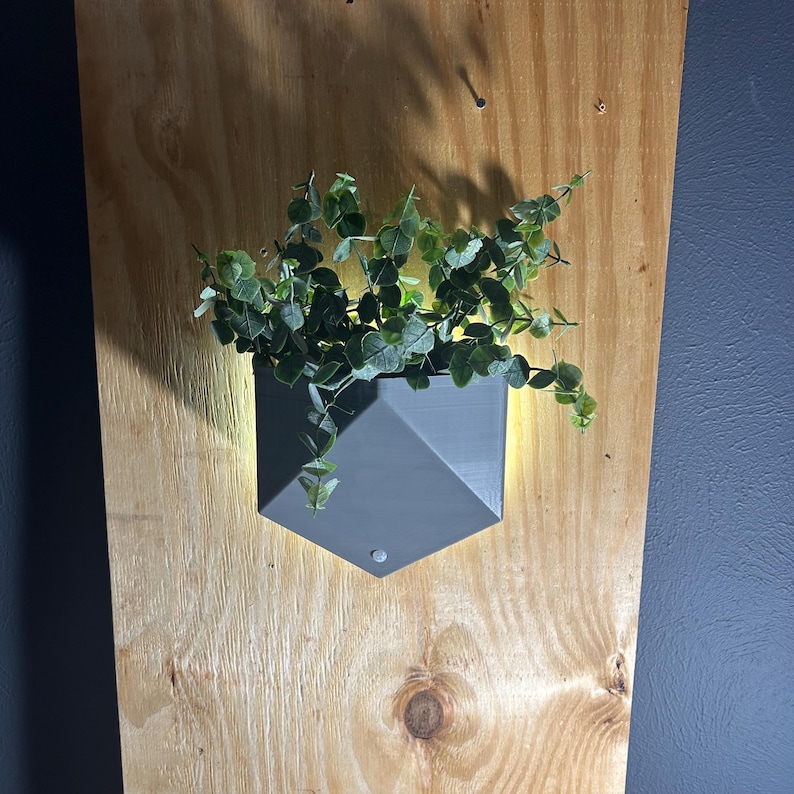 Wall Planter Light, With Built-in LED, Indoor Hanging Plant Pot, Modern ...