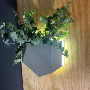 Wall Planter Light, With Built-in LED, Indoor Hanging Plant Pot, Modern ...